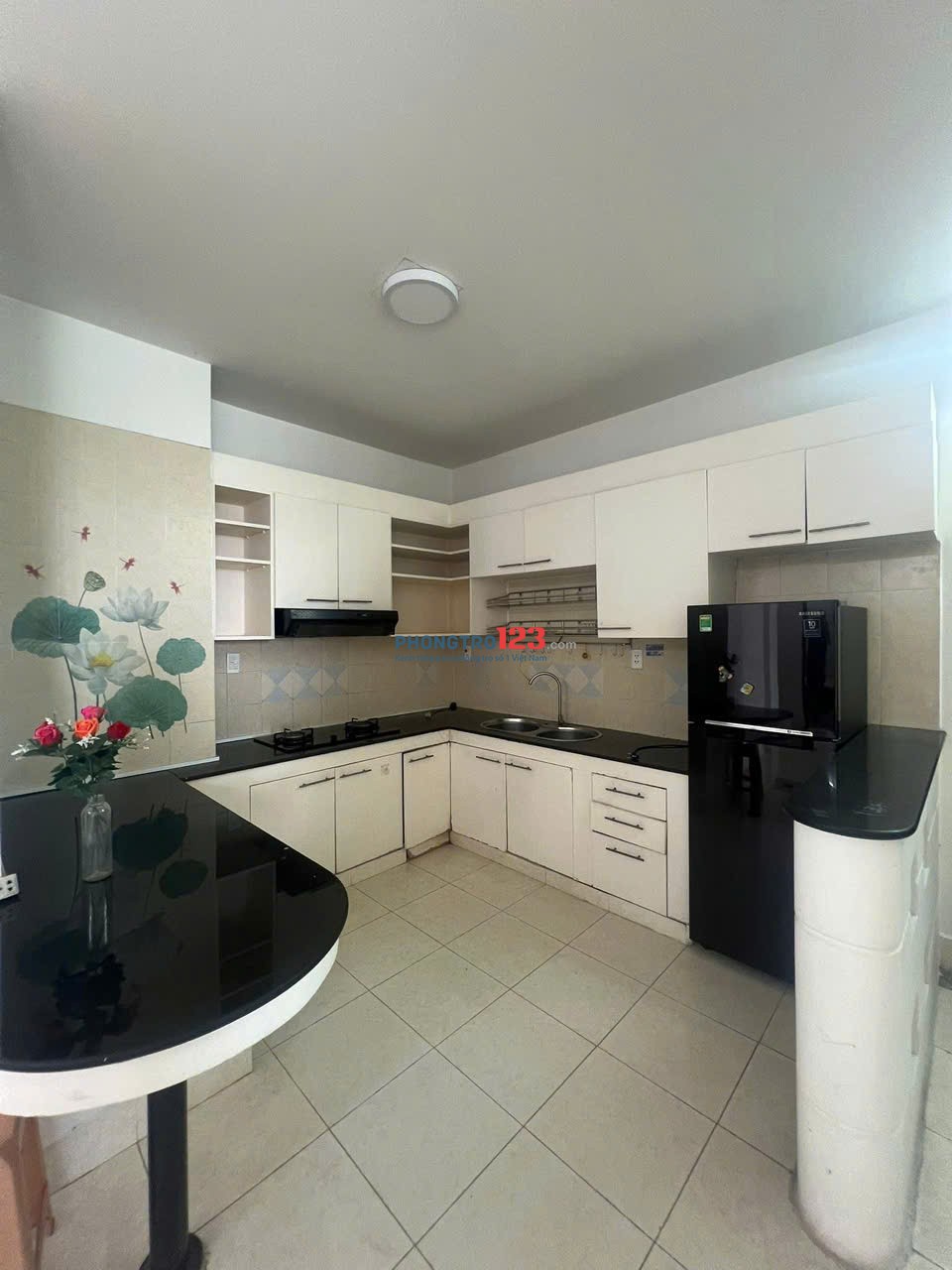 The Useful (The Era) Lạc Long Quân, Tân Bình căn 3p, 2wc, không NT, 8tr ...